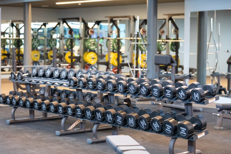 Cricklewood Lane Gym Personal Trainers David Lloyd Clubs